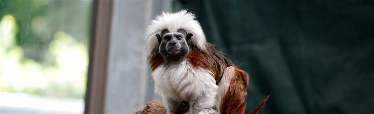 Alexandra Park Zoo | Bundaberg Regional Council